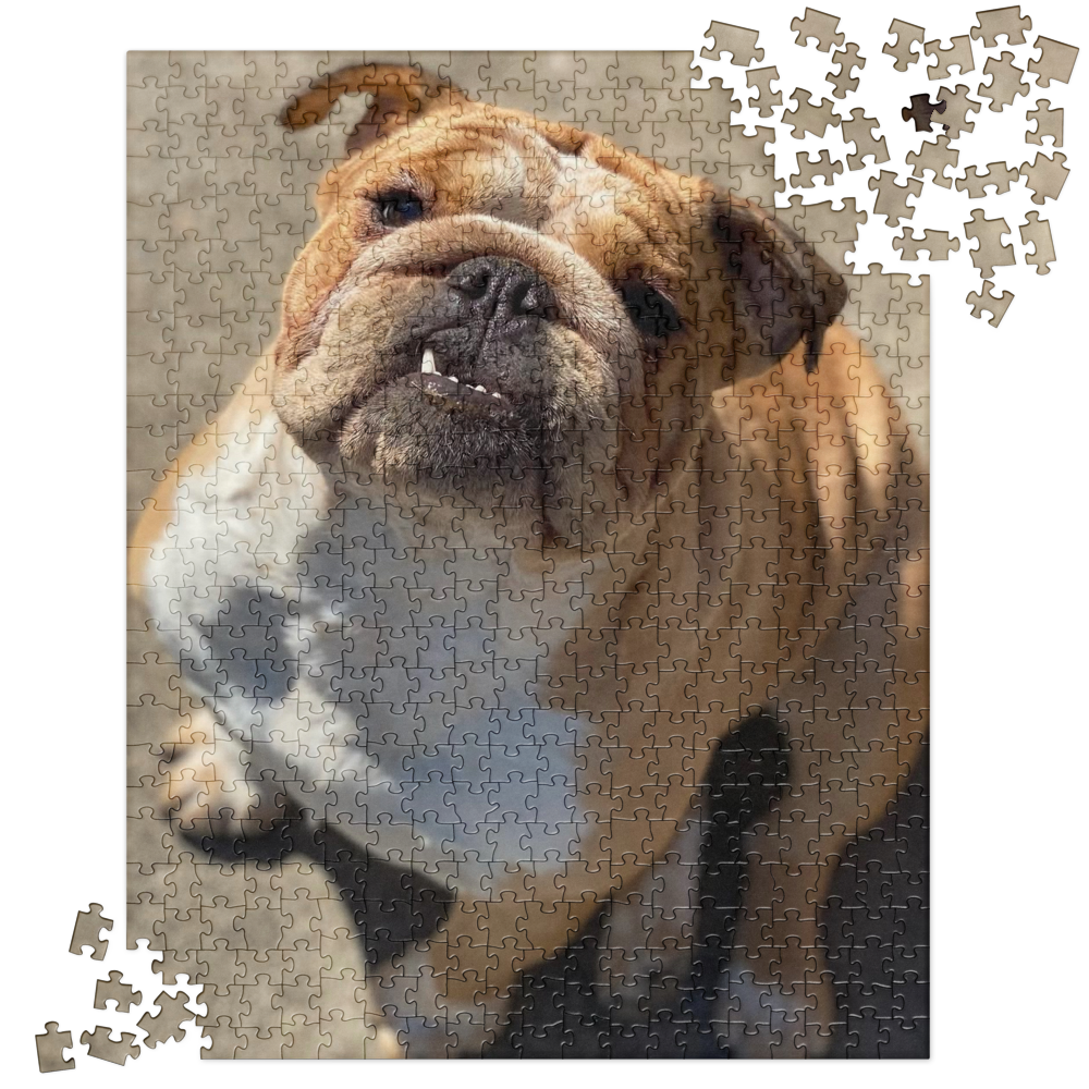 Pet Puzzle – Print Our Pet