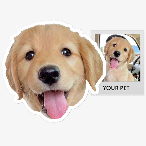 Show Off Your Pet With Custom Dog Stickers - Print Our Pet