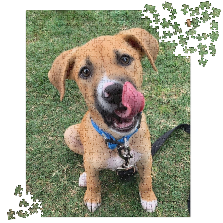 Shop-All – Print Our Pet